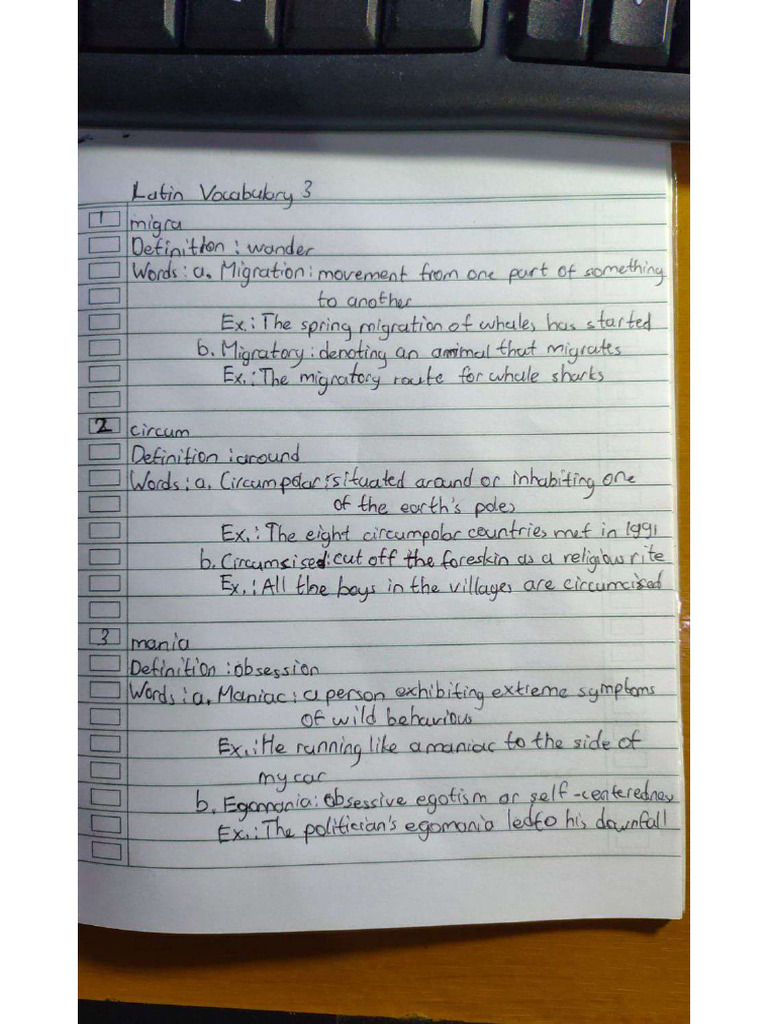 Latin Vocabulary 3 | PDF