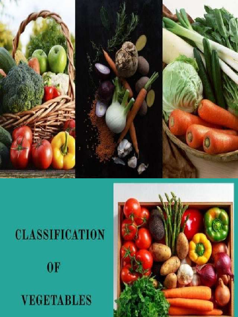 Classifications of Vegetables | PDF