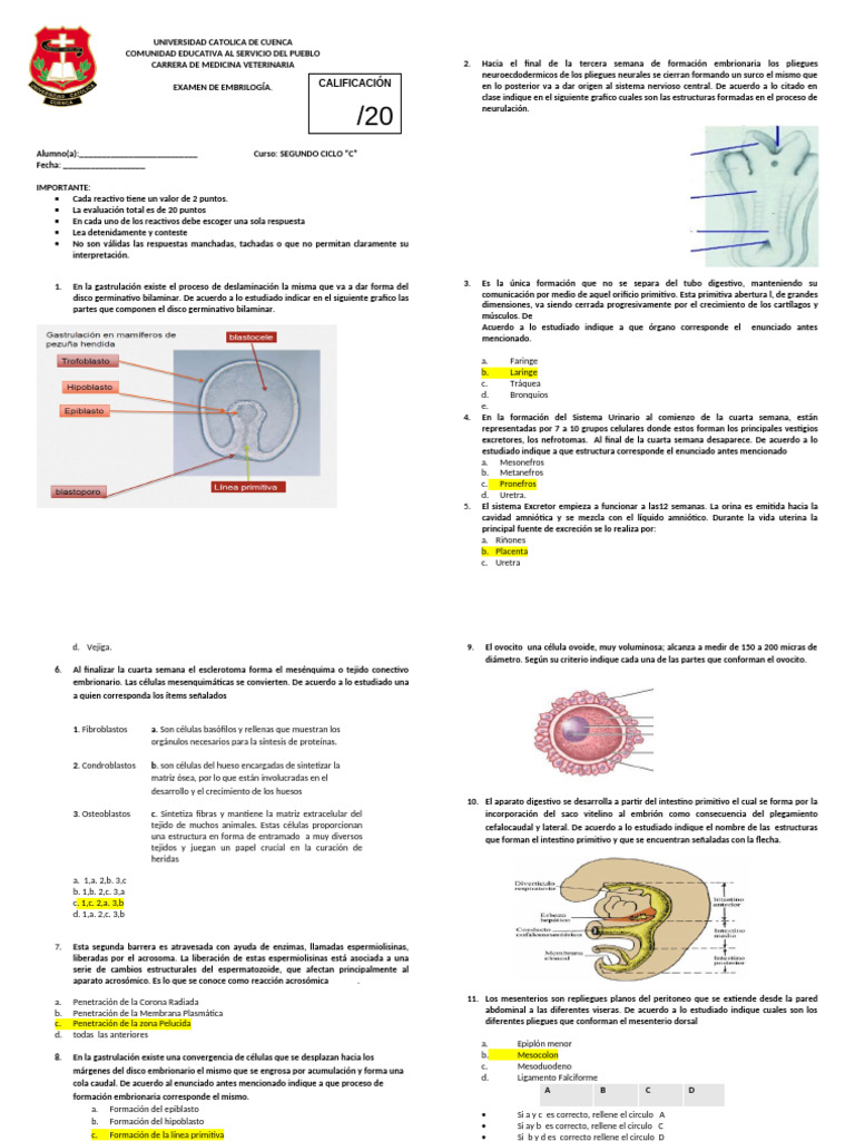 Examen Embriologia Segundo C | PDF | La matriz extracelular | Tejido ...