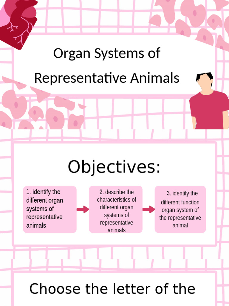Levels of Organization Biology Presentation in A Pink Simple Style ...