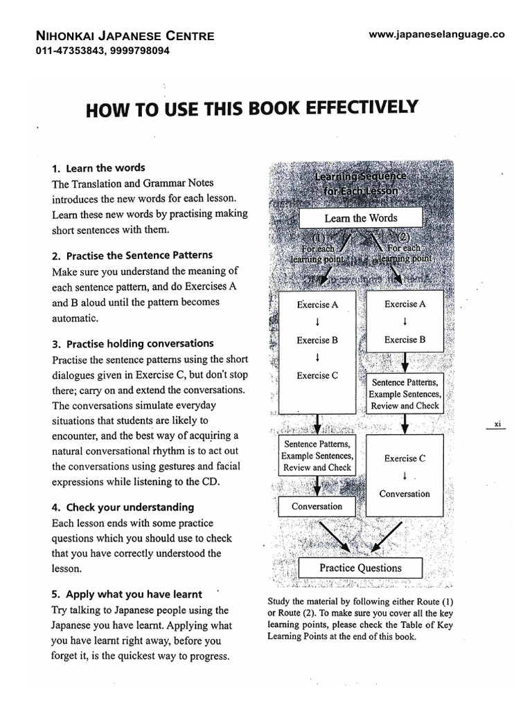 N5 Grammar Basic-1 | PDF
