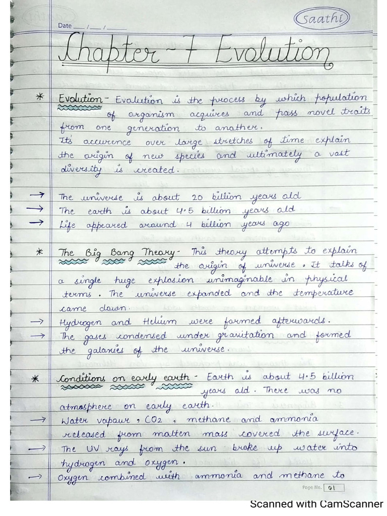 Evolution Notes by Divya Chemistudious | PDF