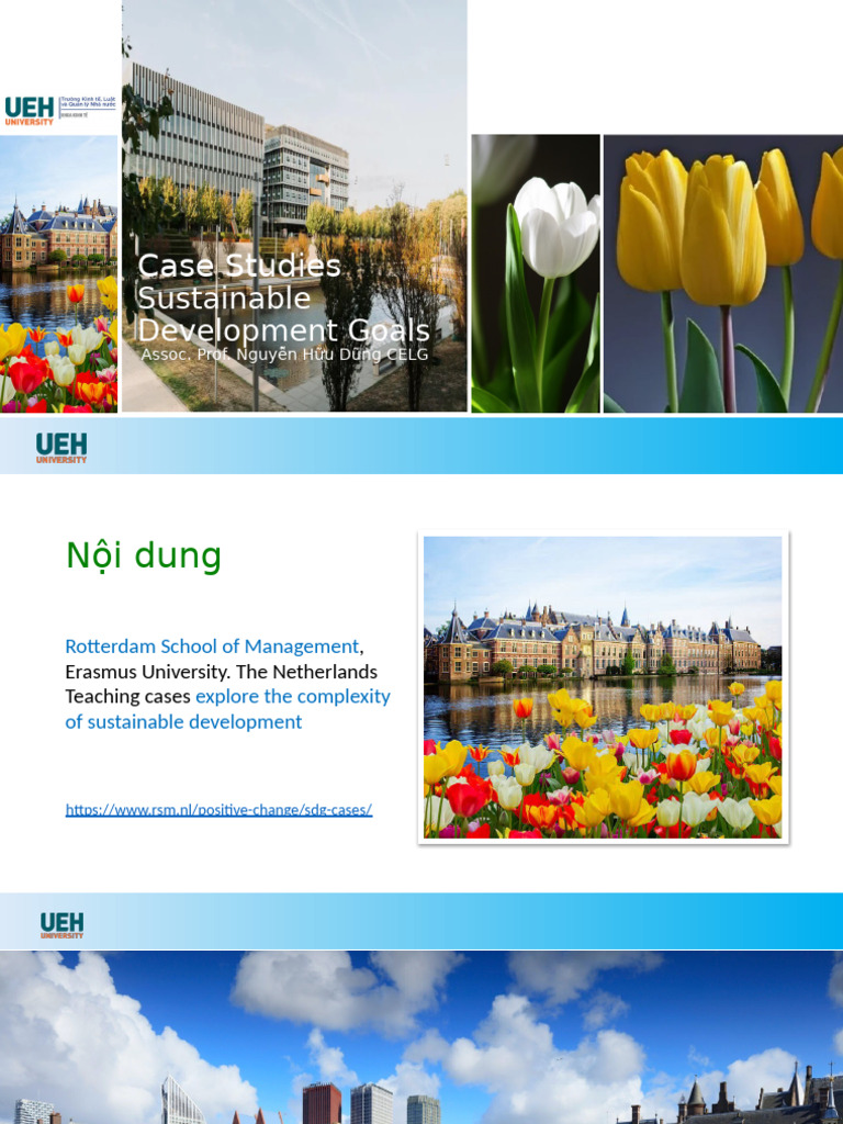 Case Studies 2024 PTBV UEH | PDF | Sustainability | Sustainable City