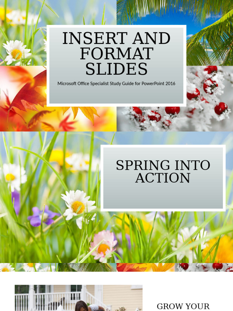 PowerPoint 1 2 | PDF