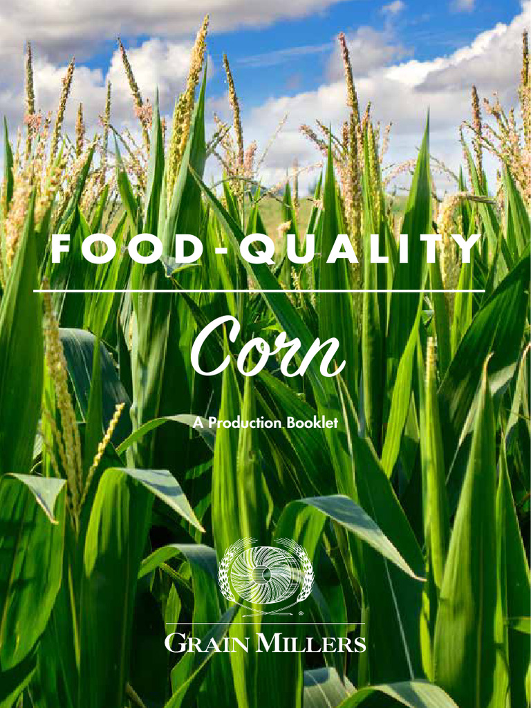 CornBooklet Web | PDF | Maize | Agriculture