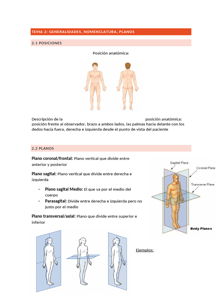 Anato T2 - Generalidades | PDF | Articulación | Hueso