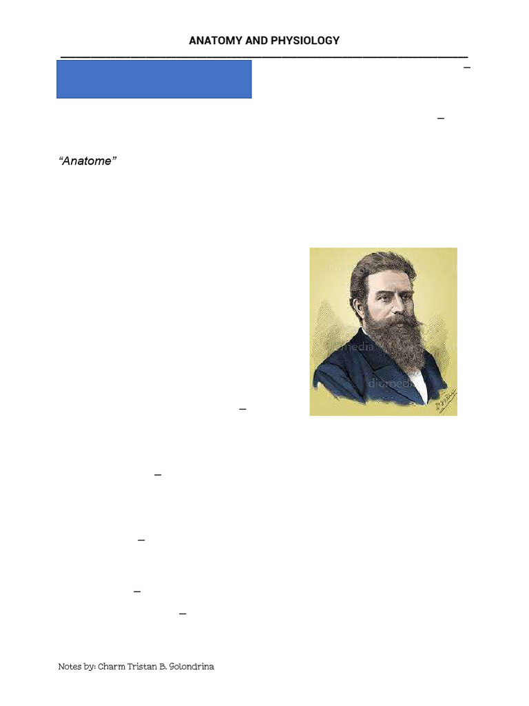 AnaPhy Transes | PDF | Anatomical Terms Of Location | Peritoneum