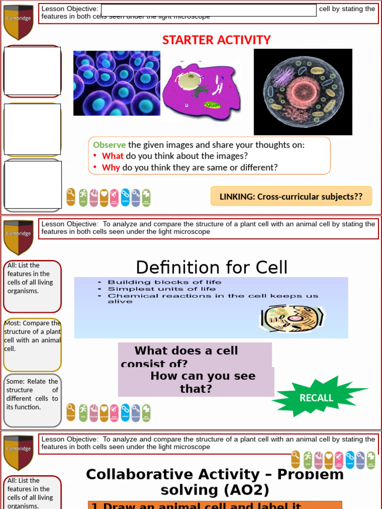 Cell Organisation - L1 Cells and Organelles | PDF | Cell (Biology ...