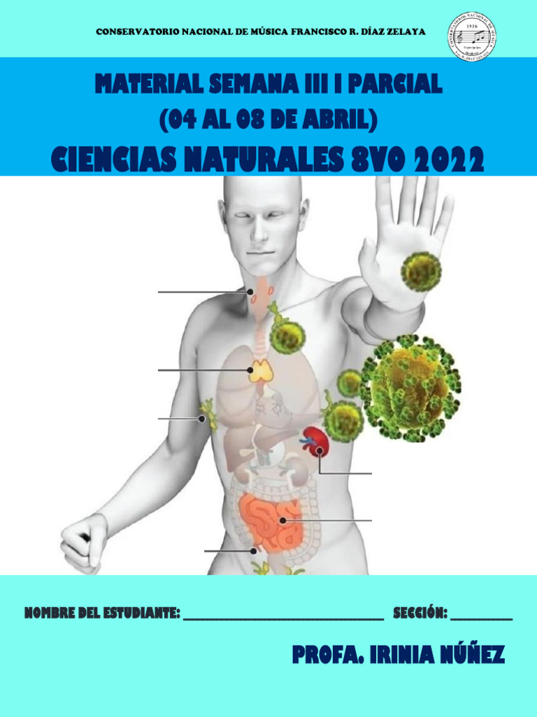 S3 CCNN 8vo Profa. Irinia Del 04 Al 08 de Abril Del 2022 | PDF | Sistema inmune | Especialidades ...