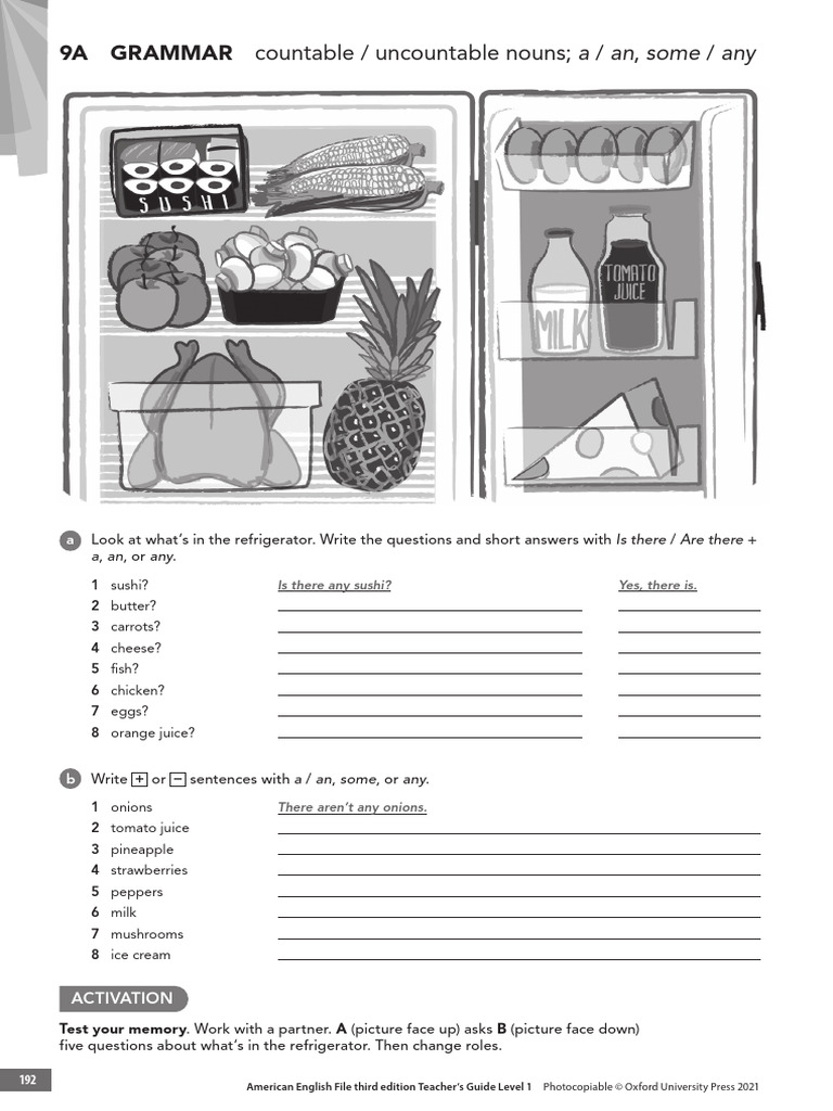 AEF3e Level 1 TG PCM Grammar 9A | PDF