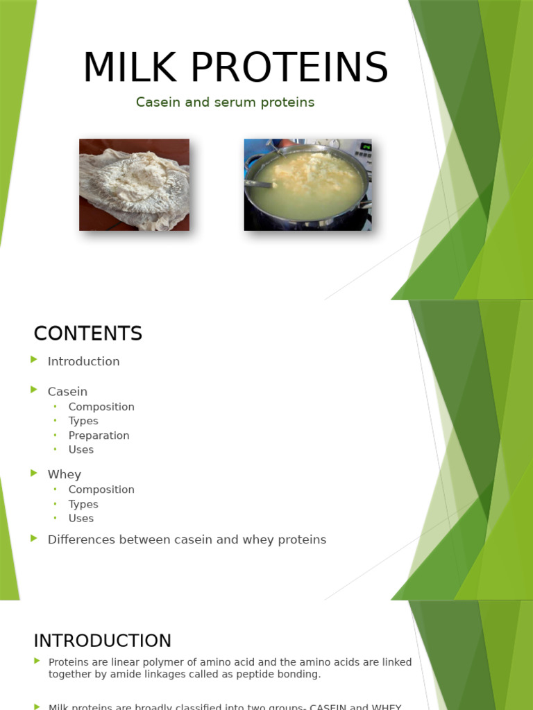 Milk Proteins | PDF | Milk | Proteins