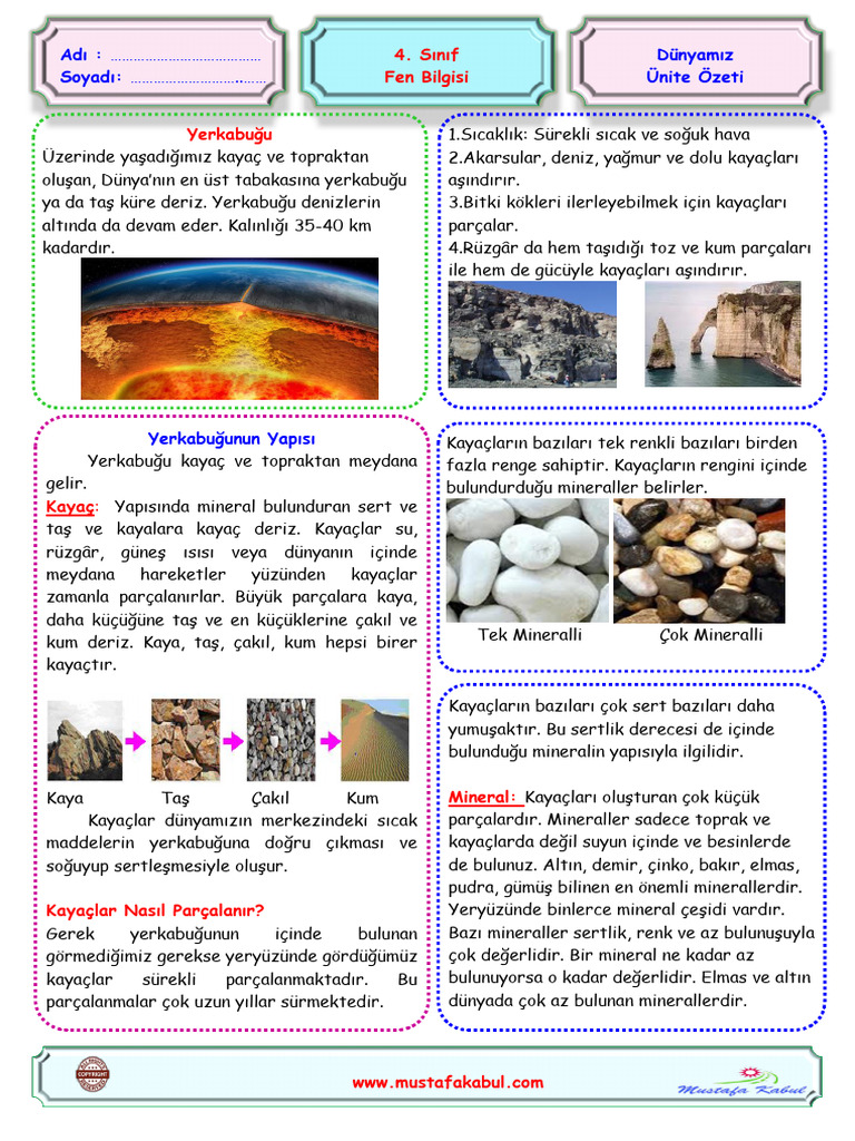 4sinif Fen 1U DersNotlari | PDF