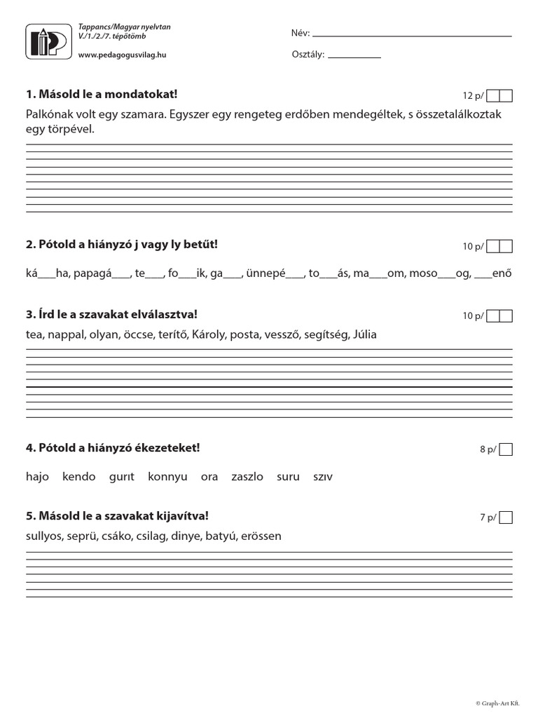 Pip 1401 Mnyelv Ir 2o TT 7 | PDF