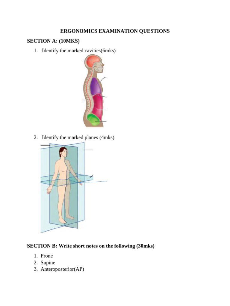 Ergonomics Examination Questions | PDF | History