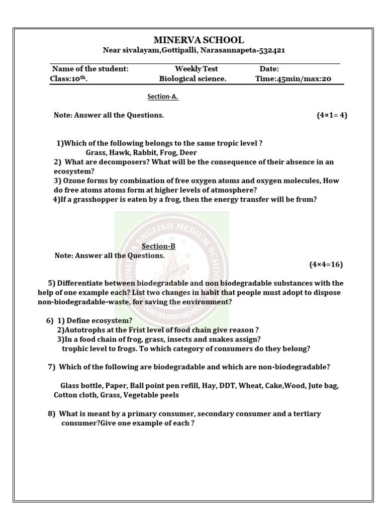 Minerva School | PDF | Science & Mathematics