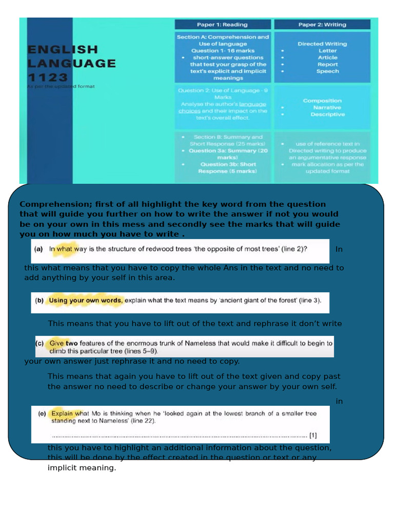 Comprehension Main Points | PDF | Reading Comprehension | Cognitive Science