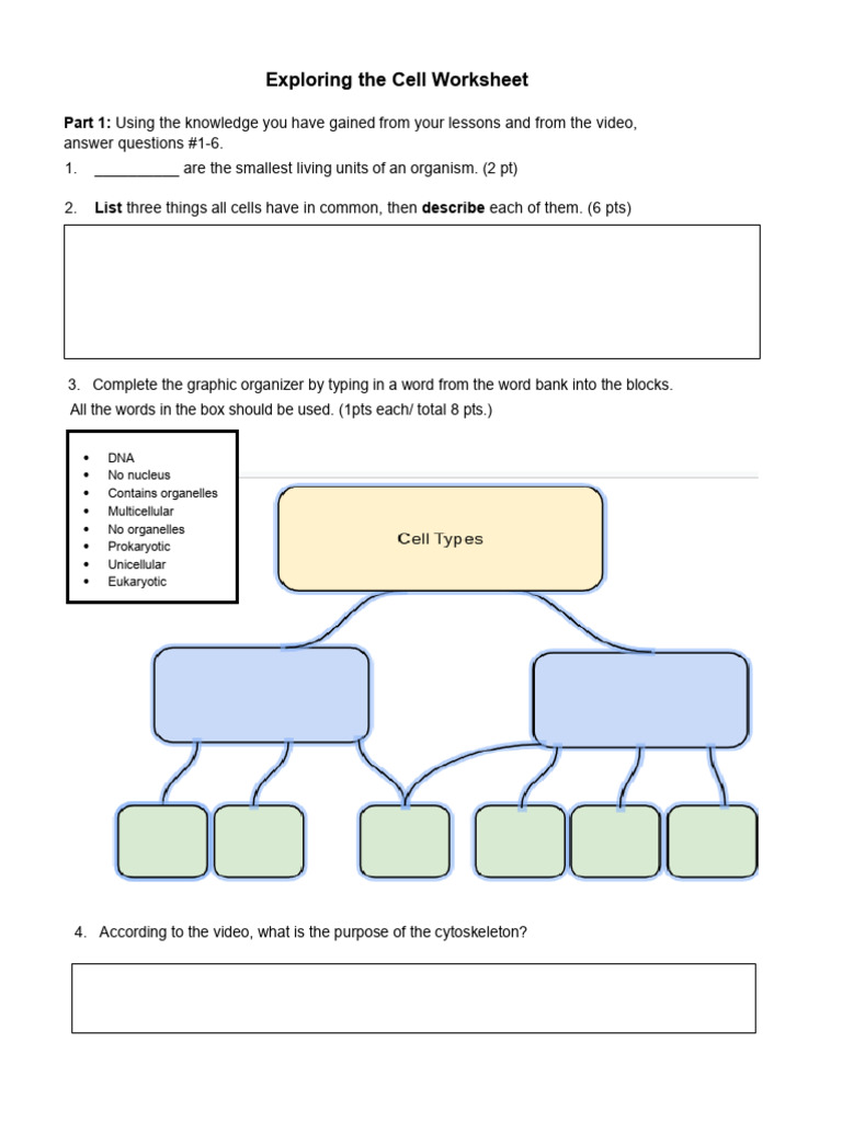 Exploring+the+Cell+Lab Student+worksheet | PDF | Organelle | Cell (Biology)