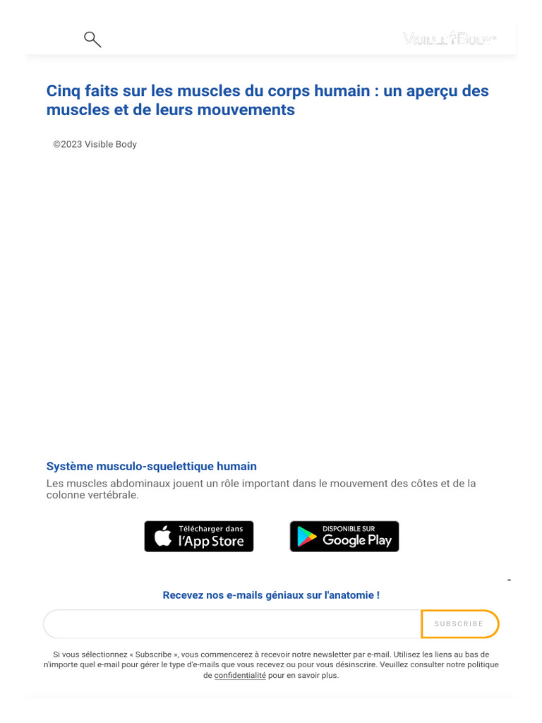 Cinq faits clés sur les muscles humains | PDF | Muscle | Nerf