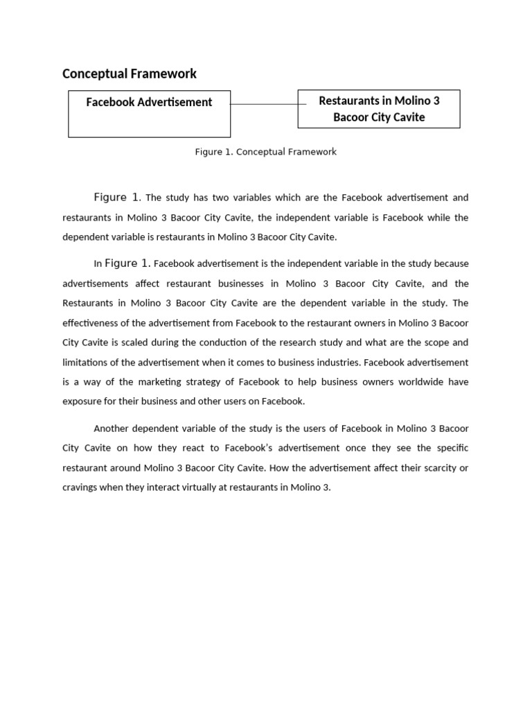 Conceptual Framework | PDF