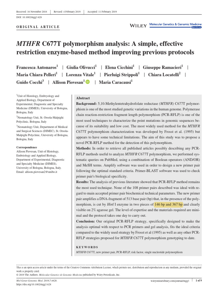MTHFR C677T Polymorphism Analysis A Simple, Effective Restriction ...