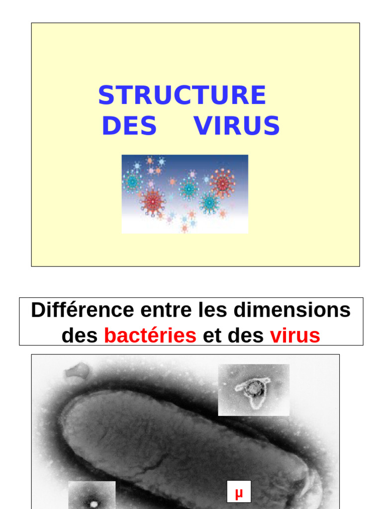 Structure des virus et classification | PDF | Virus | Cellule (Biologie)