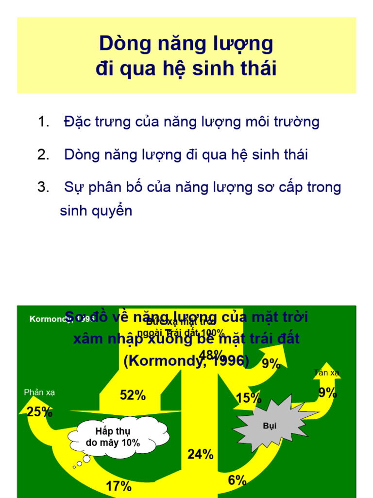 Dong Nang Luong Di Qua HST | PDF