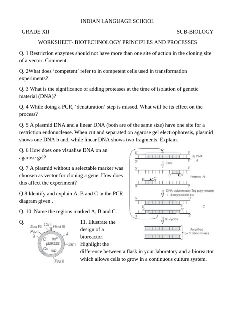 Biotech Principles and Processesedu | PDF | Computers | Technology ...