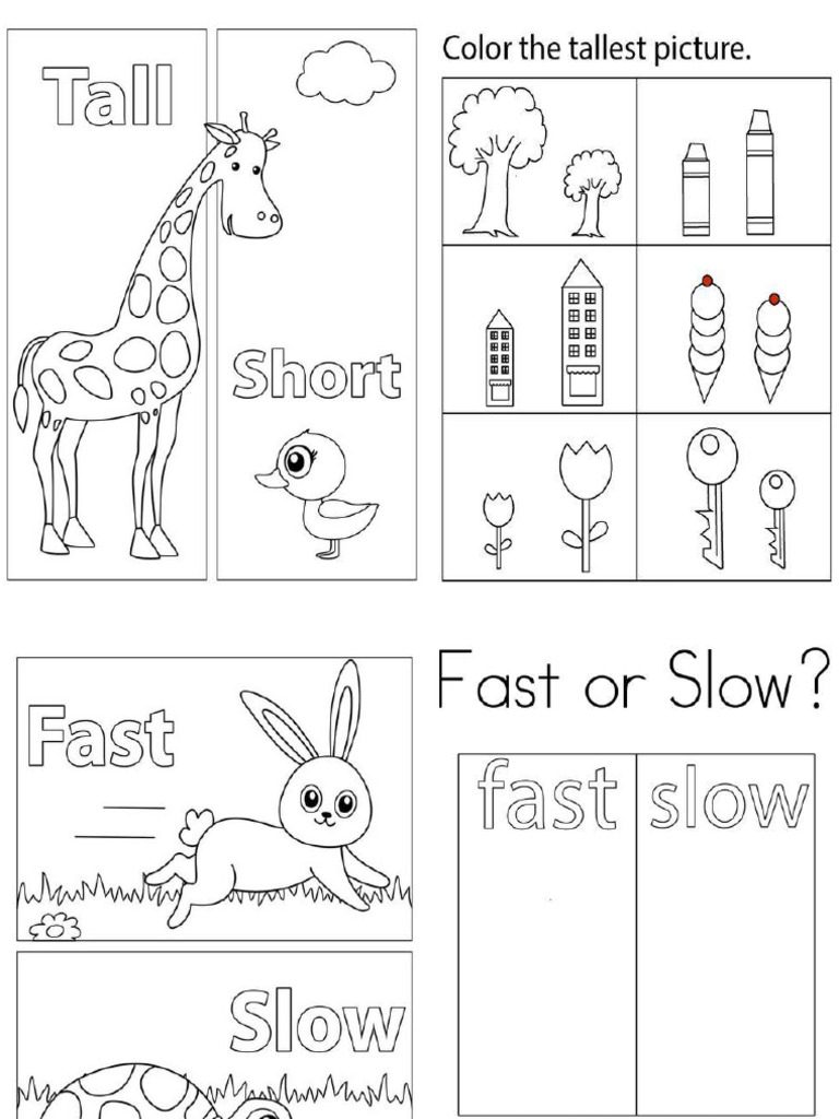 Coloring Opposites | PDF