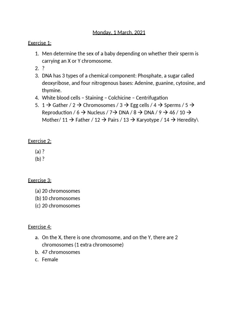 Understanding Chromosomes and DNA | PDF