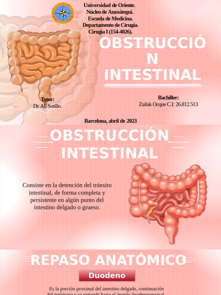 Obstrucción Intestinal Cirugía | PDF | Tracto gastrointestinal ...