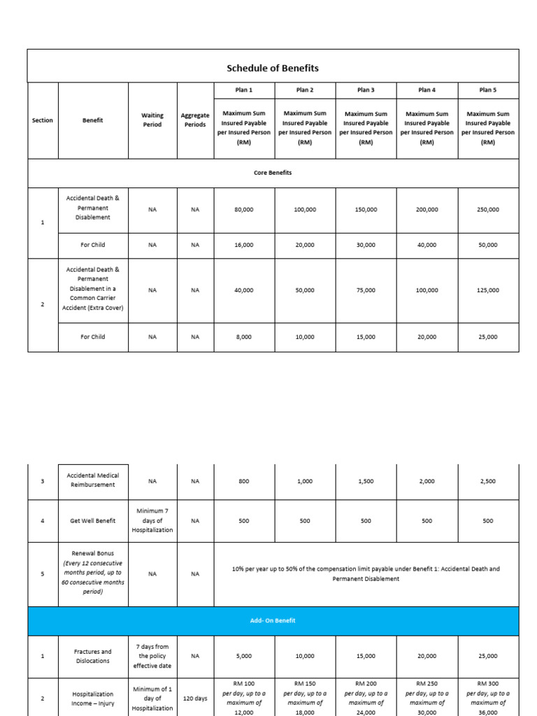 Comprehensive Insurance Benefits Schedule | PDF | Insurance