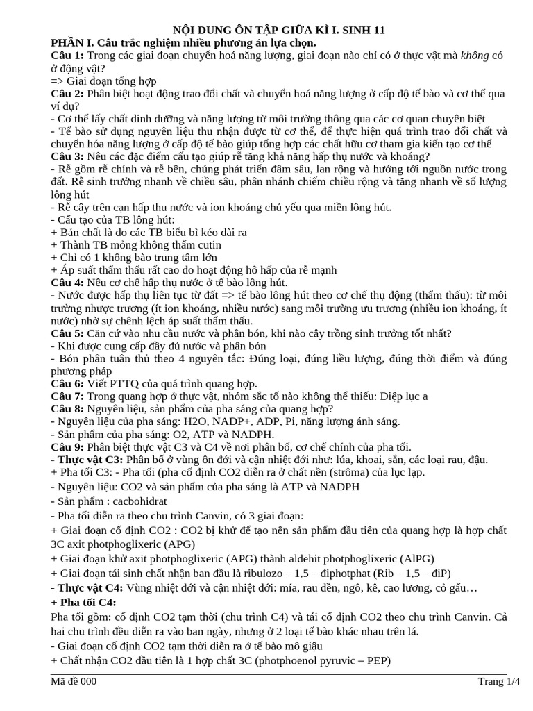 ND ÔN TẬP GIỮA KÌ I - SINH HỌC 11 | PDF