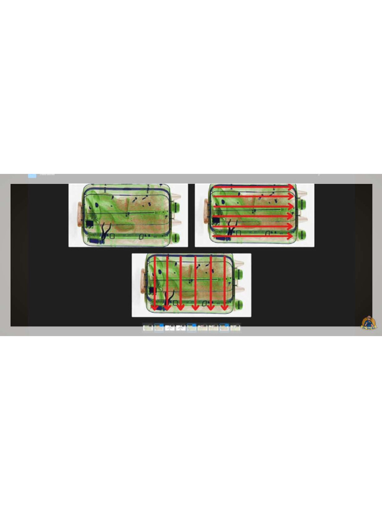How To Check X Bis Baggage | PDF