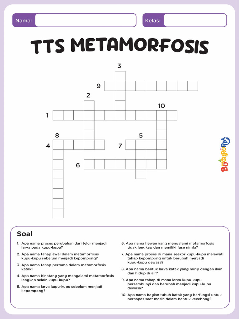 TTS Metamorfosis | PDF