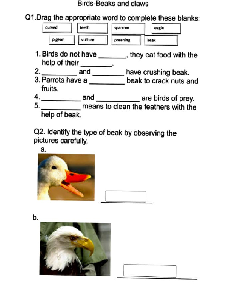 Worksheet Ch 6 Do in Notebook | PDF Worksheet Ch 6 Do in Notebook | PDF
