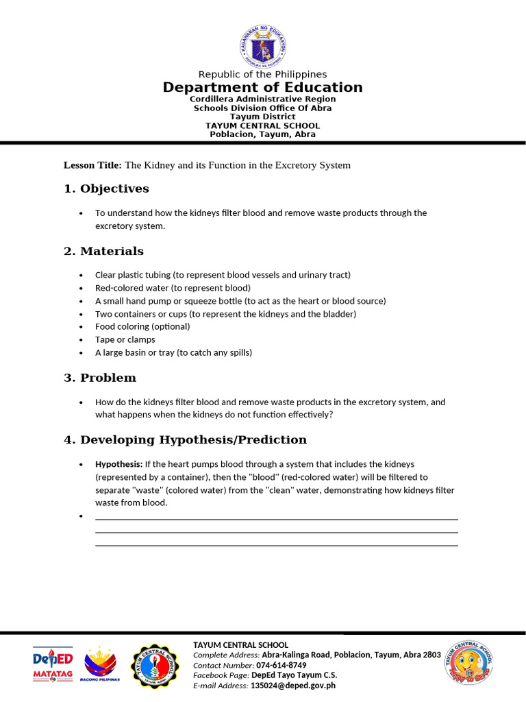 Performance Task in Science 5 Urinary System | PDF | Kidney | Blood