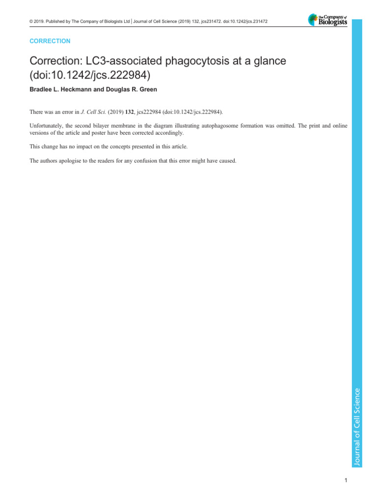Heckmann 2019 LC3-associated Phagocytosis at A Glance | PDF | Autophagy | Immune System