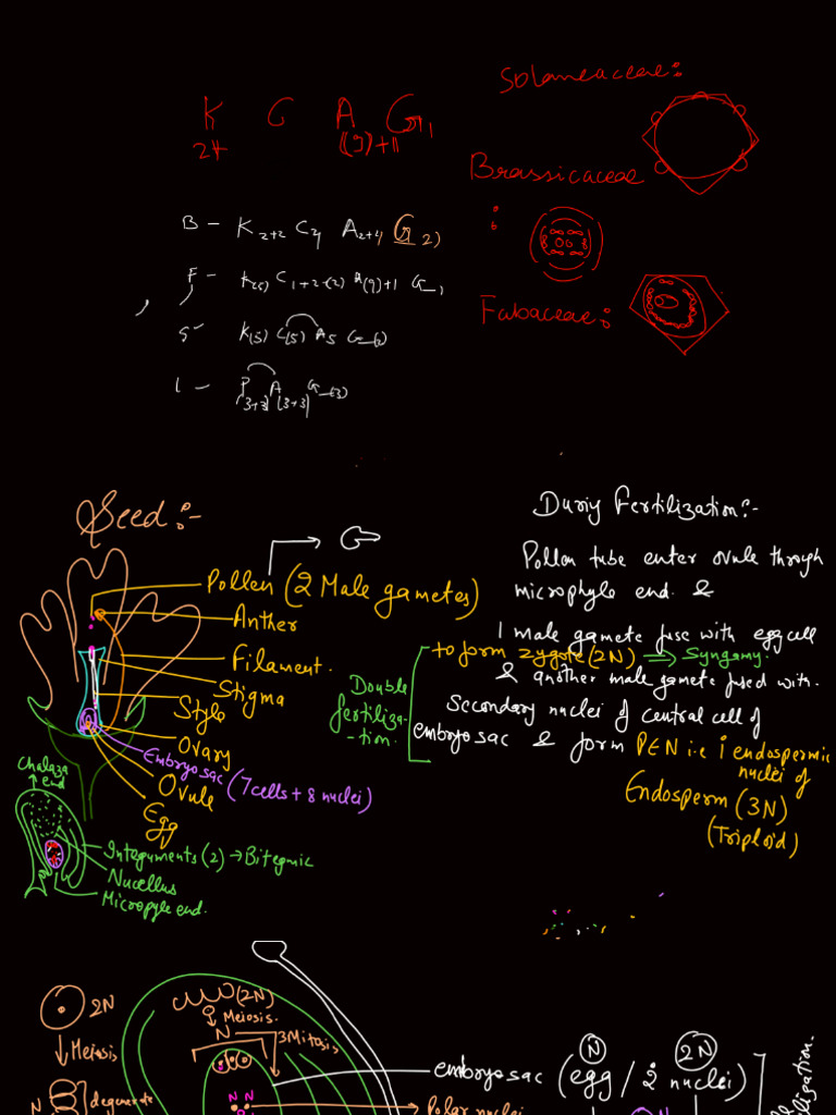 Botany Class 11 - 3-10-23 | PDF