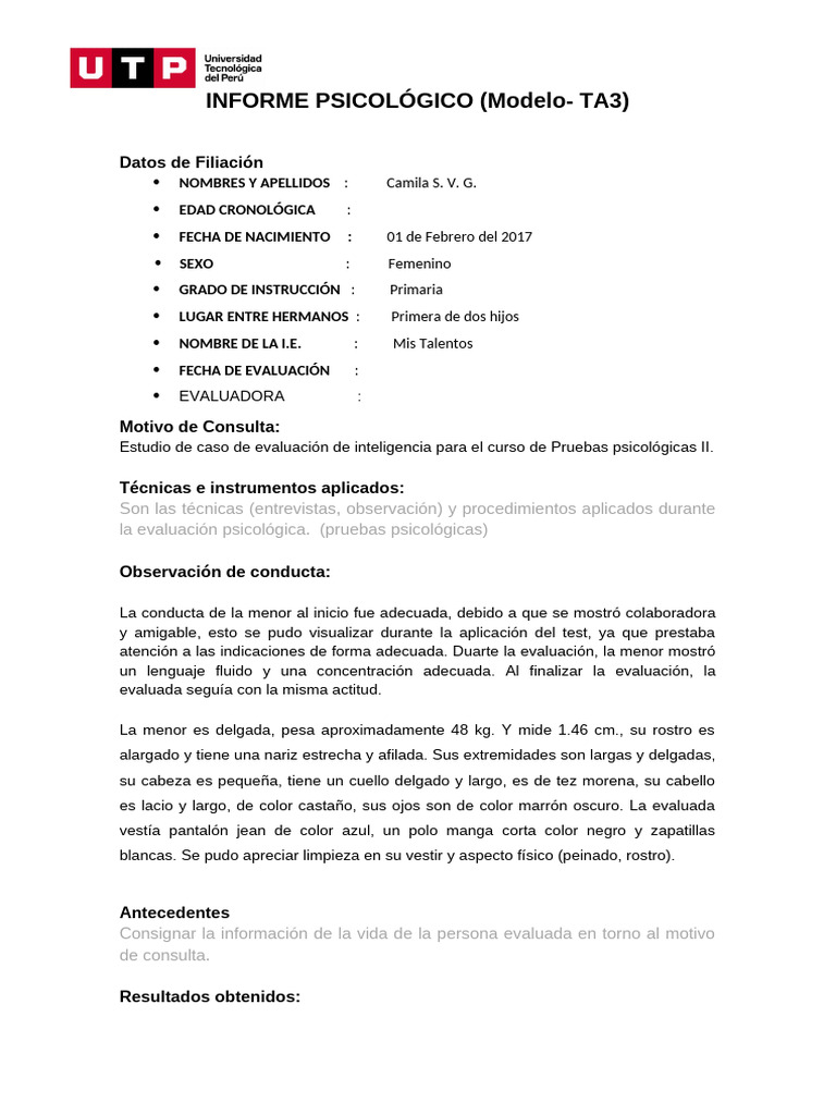 Modelo de Informe - Ta3 | PDF