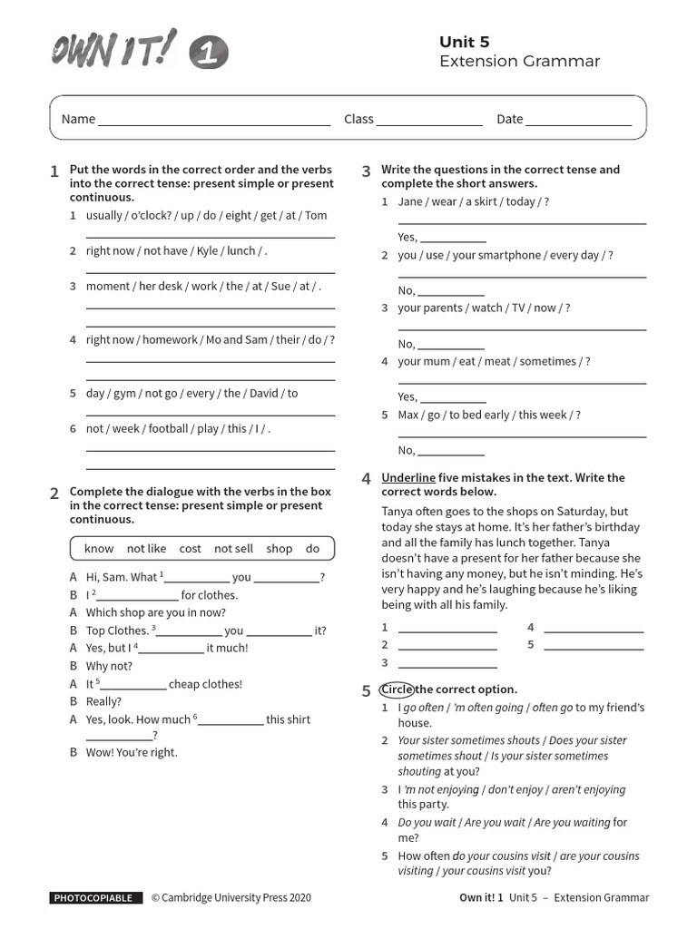 Extension Grammar Exercises: Unit 5 | PDF | Linguistic Typology | Languages