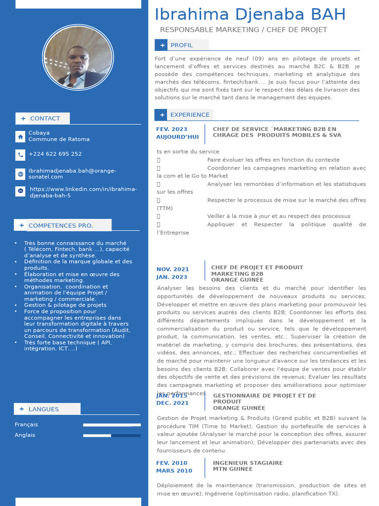 CV-Ibrahima Djenaba Bah-Novembre 2024 | PDF | Commercialisation | GSM