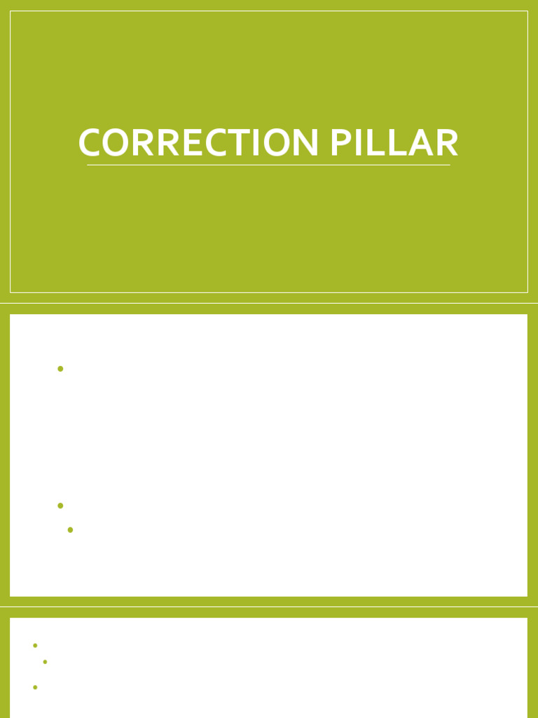CORRECTION-PILLAR | PDF | Probation | Prison