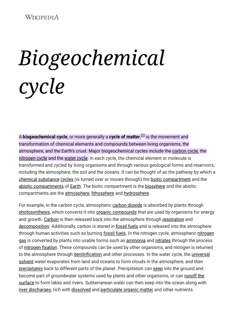 Biogeochemical Cycles Explained | PDF | Carbon Cycle | Ecosystem