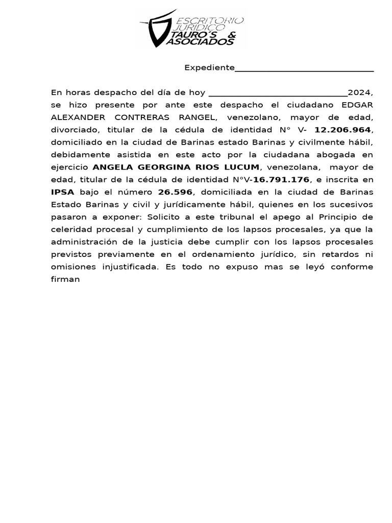 Celeridad Procesal | PDF