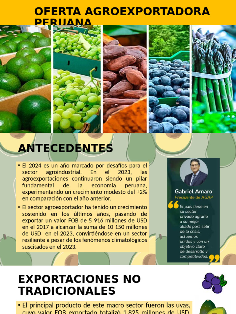 Crecimiento de Agroexportaciones en Perú | PDF | Aguacate | Mercado ...