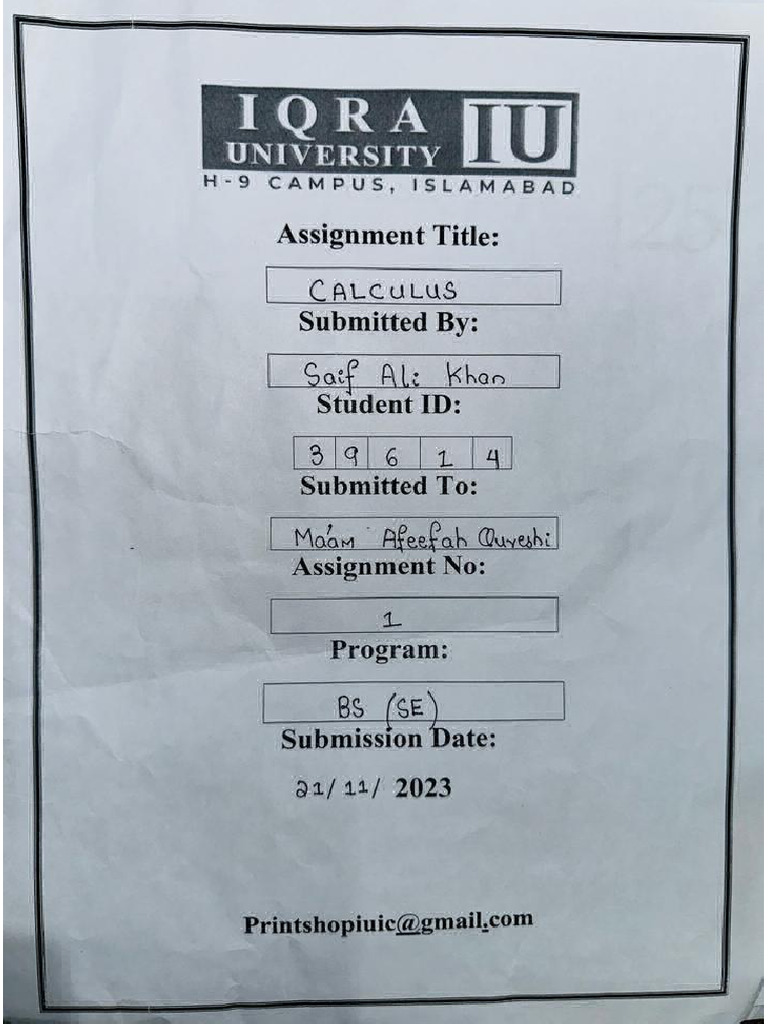 Calculus Assignment | PDF