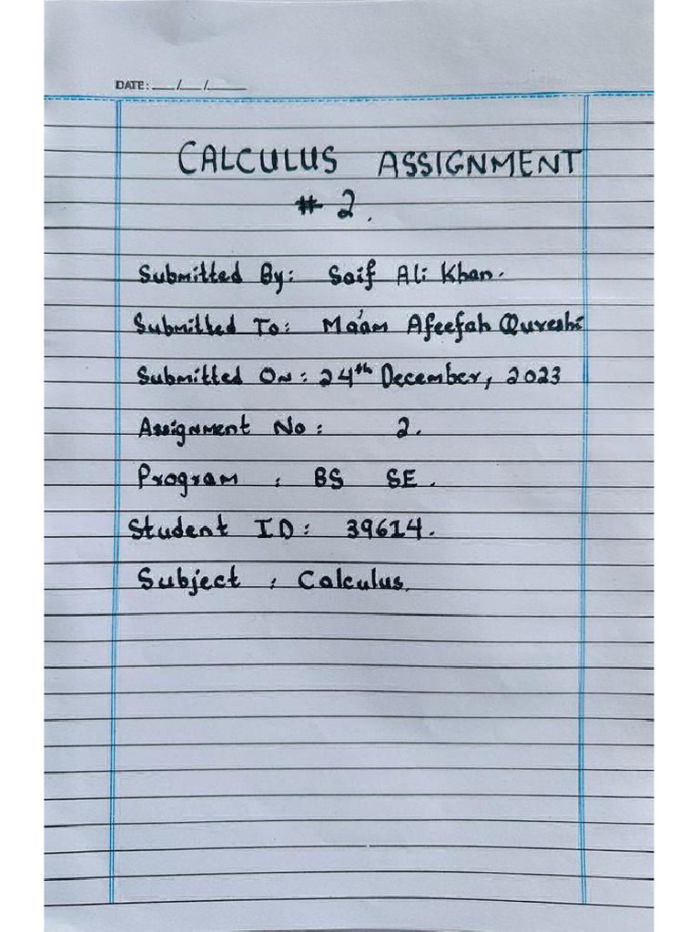 Calculus Assignment | PDF