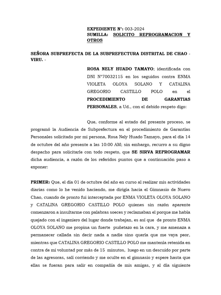 REPROGRAMACION DE DECLARACION - Garantias | PDF