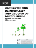 Bean Seed Growth Investigation 2025 | PDF | Seed | Organisms