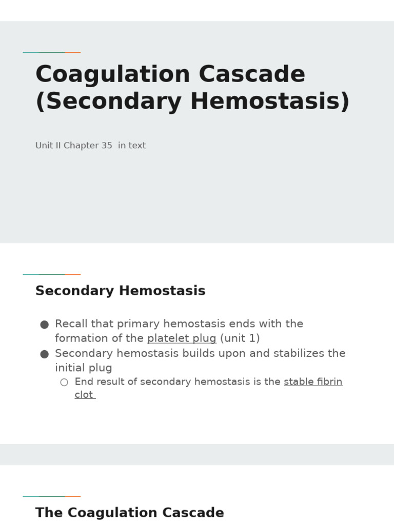 Coagulation Cascade Overview | PDF | Coagulation | Blood